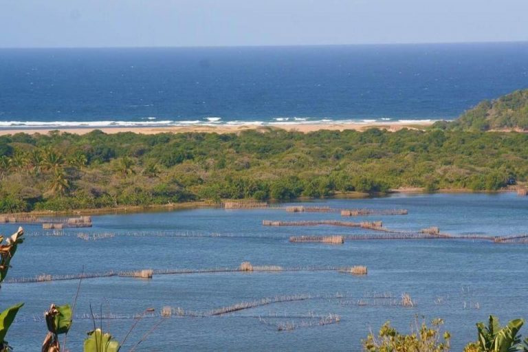 Lets talk about 700 years of traditional fishing at Kosi Bay! #factfriday – Ubuntu Wildlife Trust